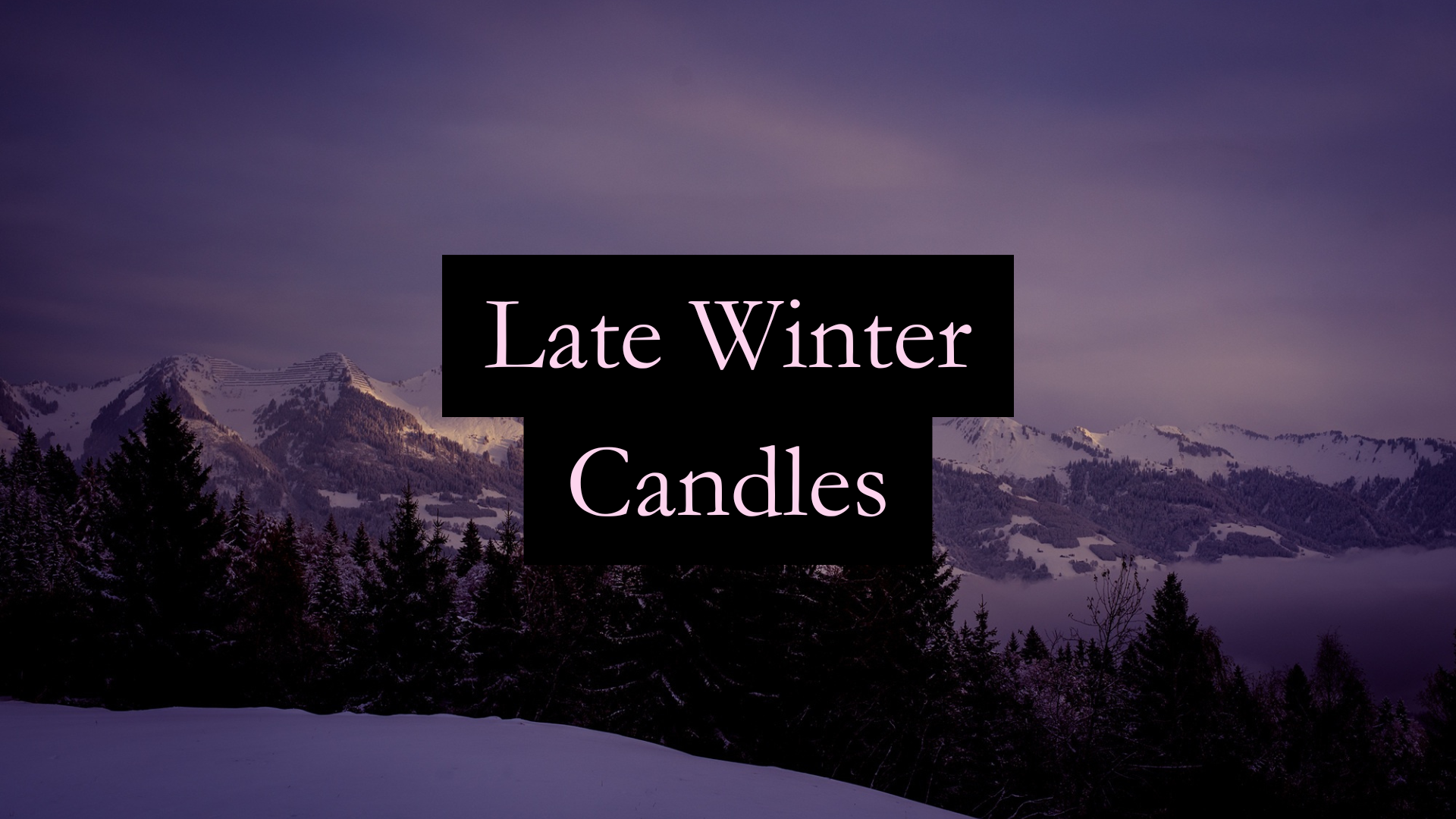 Late Winter 2025 – Jangled Jester
